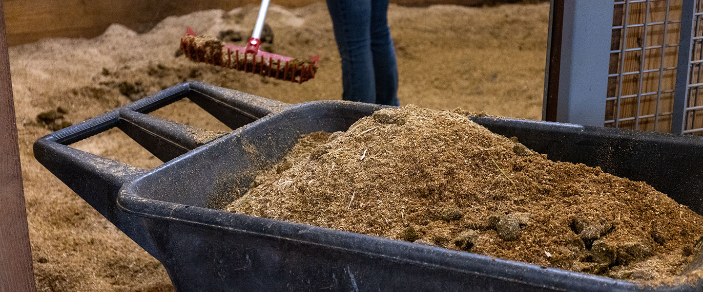 Managing Manure - 3 FAQs About Manure Management Plans