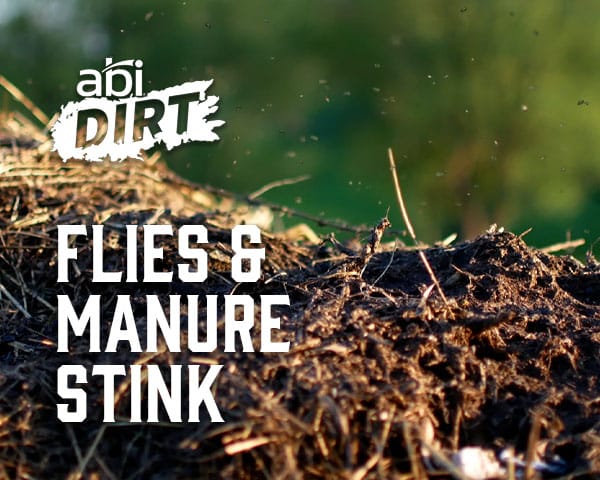 Barn Fly Control and Manure Pile Smell Strategies