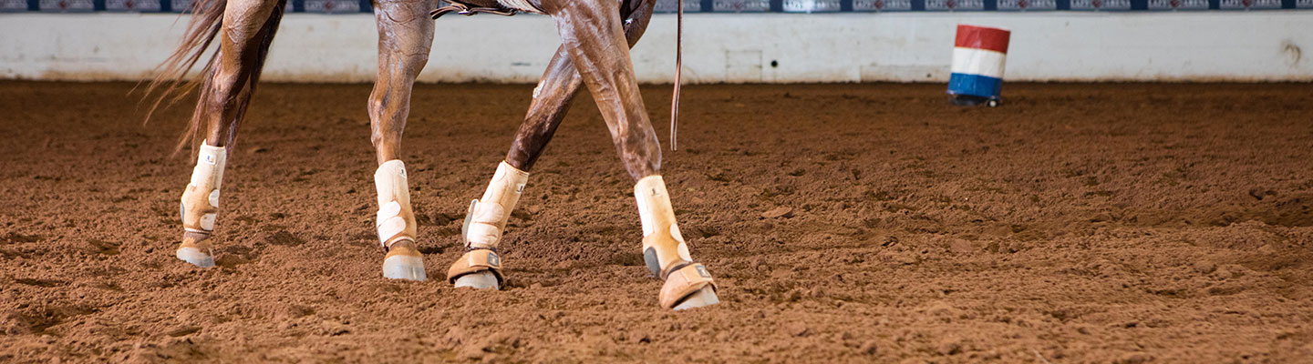 Leveling Your Horse Arena Footing
